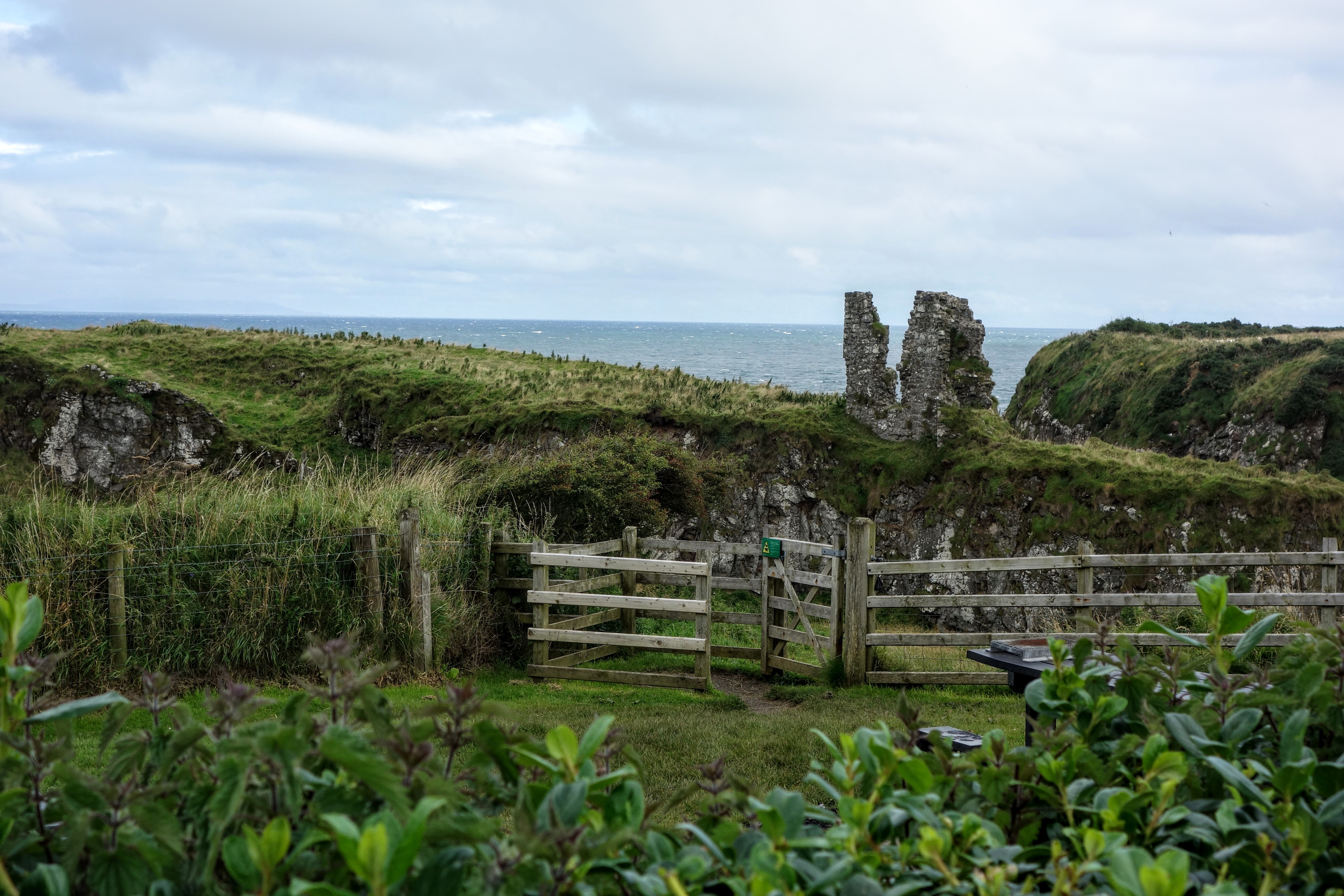 Walking the Causeway Coastal Path with Paul | Caroline's Garden and ...